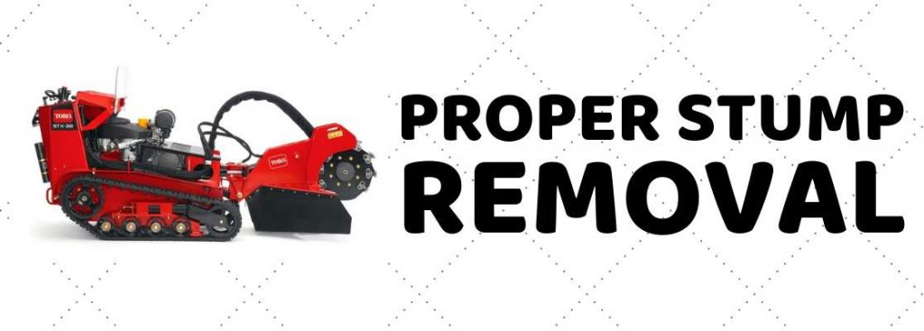 Why Choose Martin’s Tree for Stump Grinding and Removal