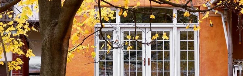 4 signs of a healthy tree.