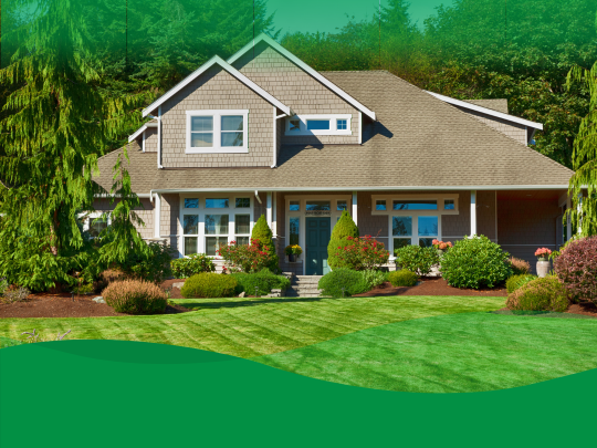 The effects of trees on property value.